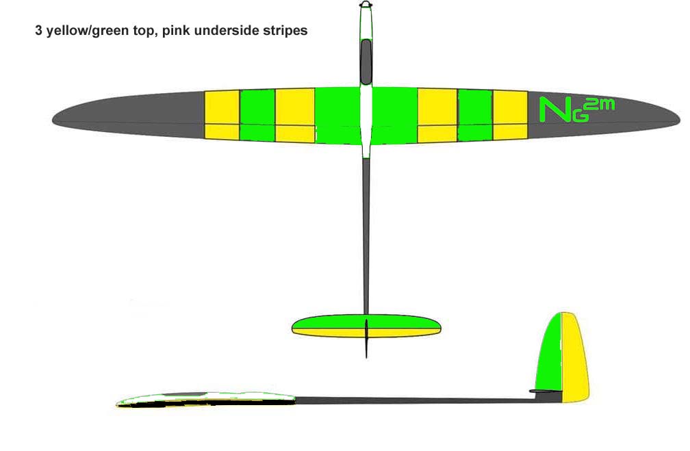 NG 2m V2 with wing bags - RC Models - Electric F5J Gliders