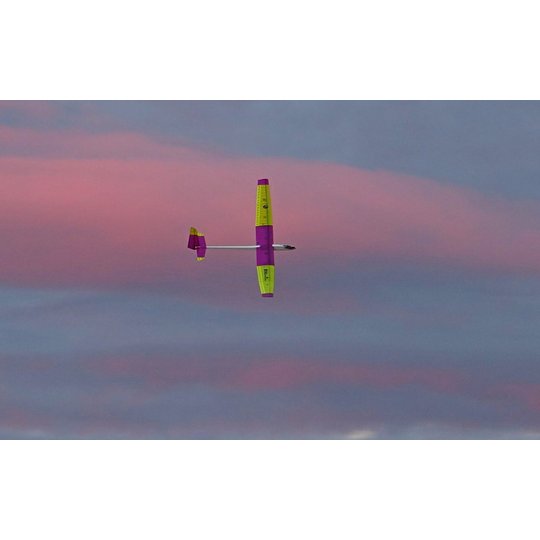 Inside F5J 2.9m - RC Models - Electric F5J Gliders