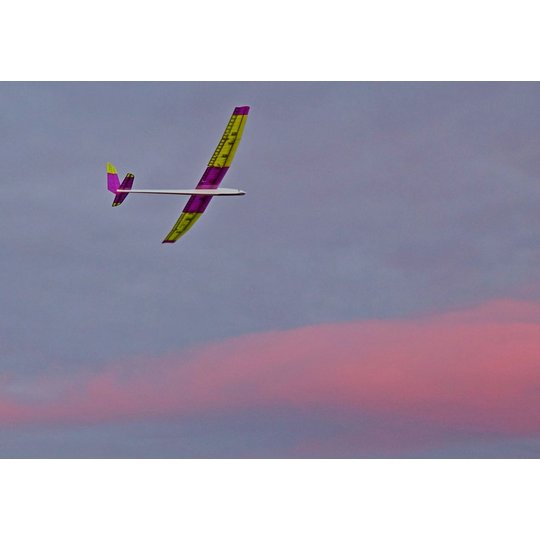 Inside F5J 2.9m - RC Models - Electric F5J Gliders