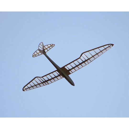 Micro Bird of Time 1.2m